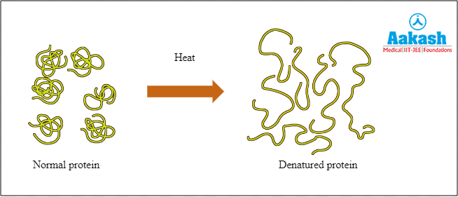 Protein: Structure, Types, Denaturation & Function | AESL